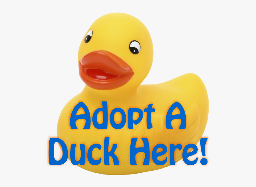 Adopt A Duck Here, HD Png Download , Transparent Png Image - PNGitem