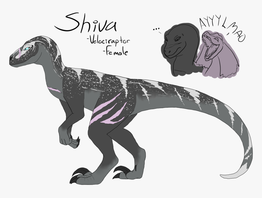 Raptor Dinosaur Oc, HD Png Download , Transparent Png Image - PNGitem