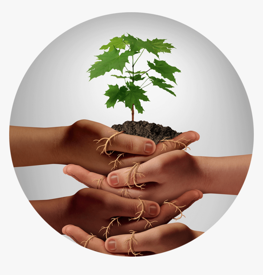 Nurturing Clipart, HD Png Download , Transparent Png Image - PNGitem