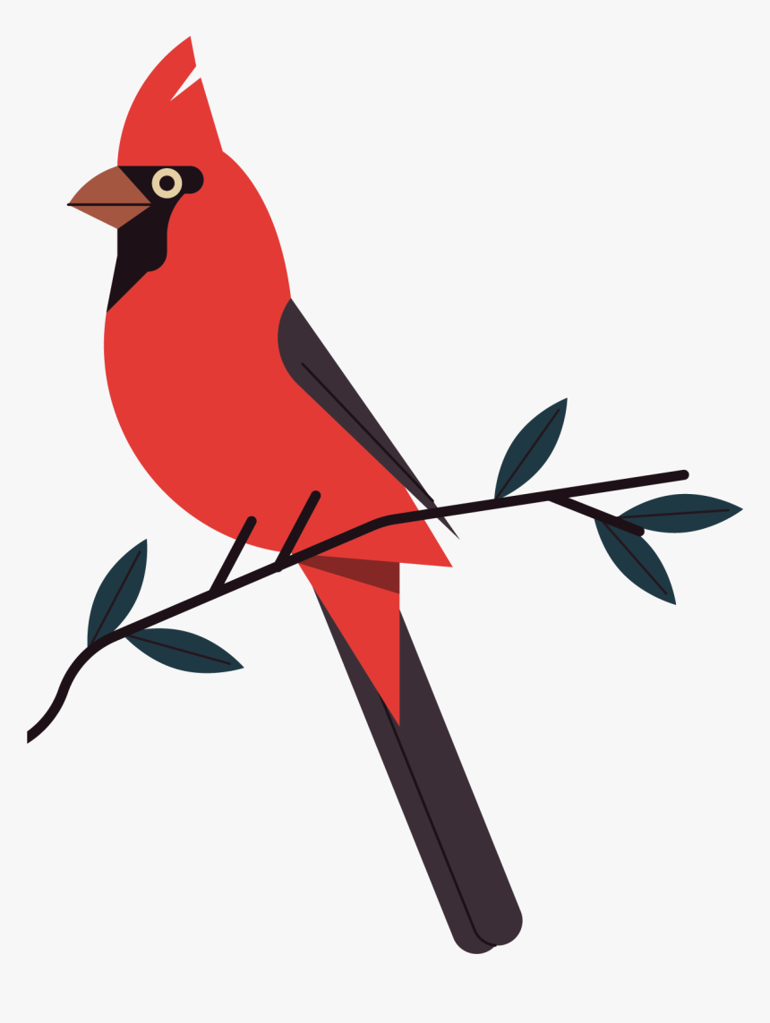 Northern Cardinal, HD Png Download , Transparent Png Image - PNGitem