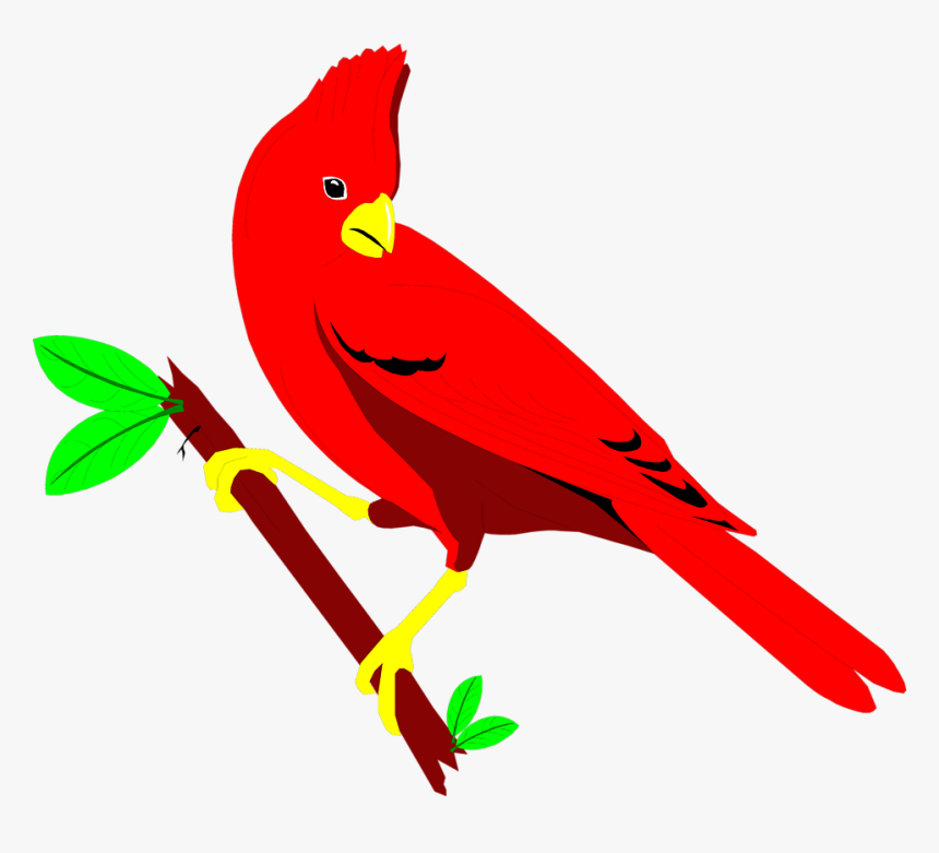Cardinal Free Stock Photo Illustration Of A Red Cardinal - Transparent ...