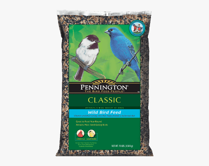 Bird Food Clipart No Background