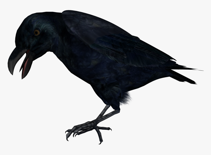 Crow Wings Png, Transparent Png , Transparent Png Image - PNGitem