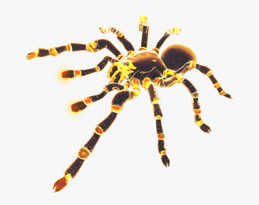 Fire Spider Png, Transparent Png , Transparent Png Image - PNGitem
