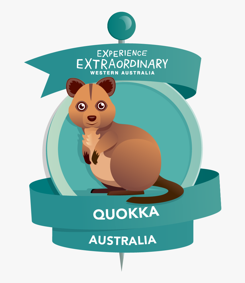 Transparent Quokka Png - Illustration, Png Download , Transparent Png ...