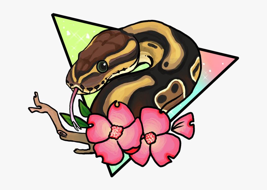 Pin Ni Firetear Vefox Sa Herps And Inverts - Ball Python Clip Art, HD ...