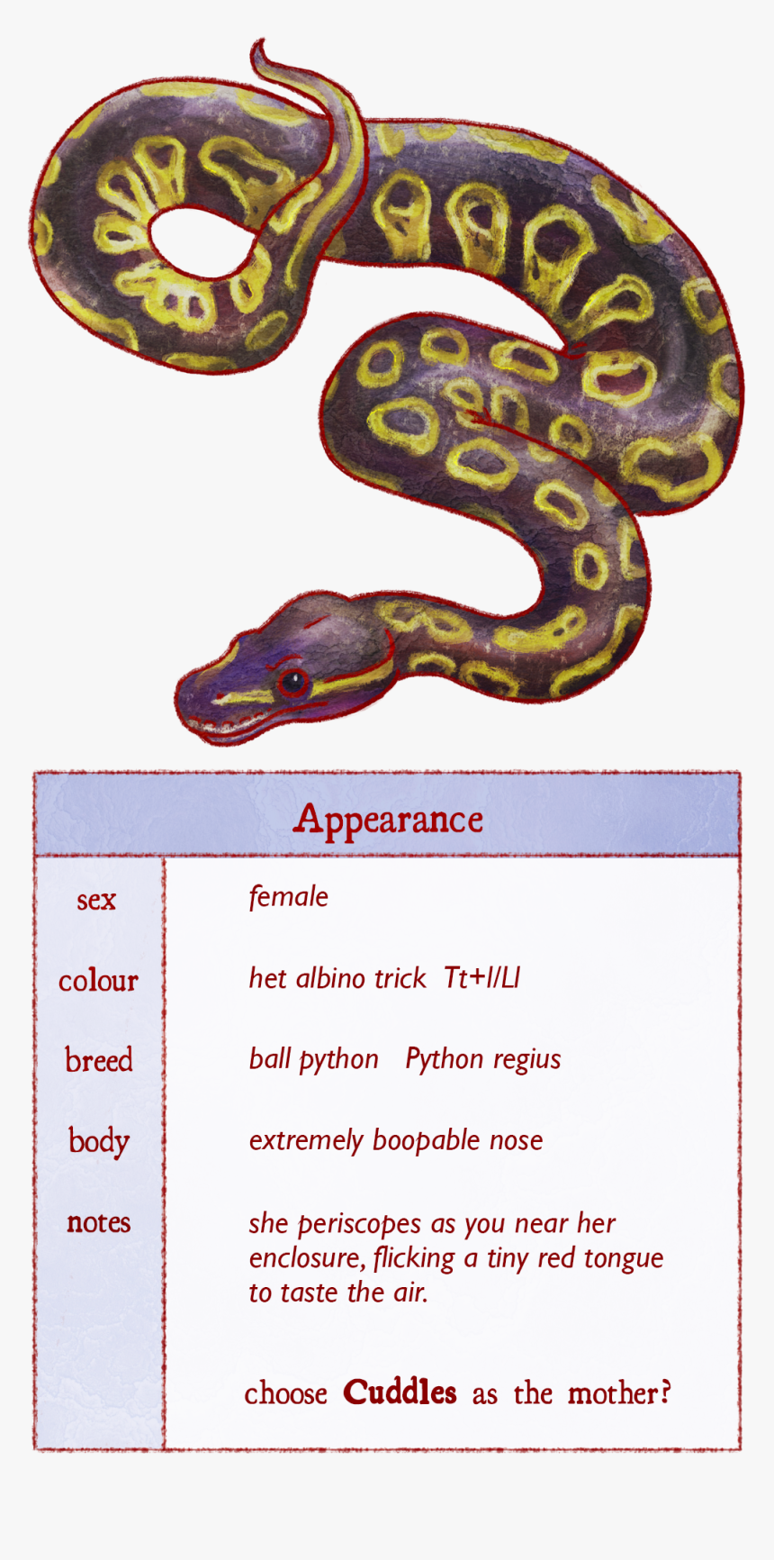 Burmese Python, HD Png Download , Transparent Png Image - PNGitem