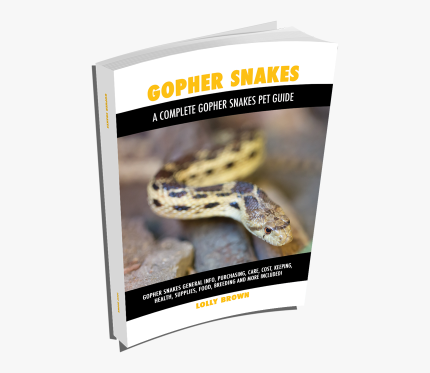 , More Books, Ball Pythons As Pets - Burmese Python, HD Png Download ...