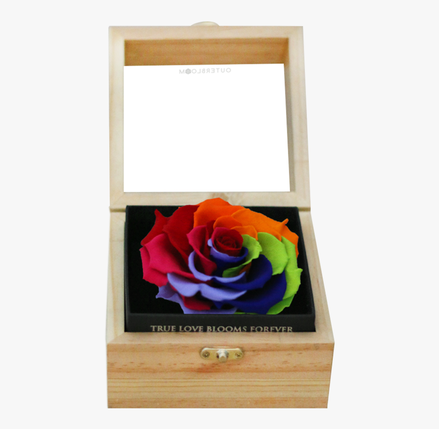 Rainbow Rose, HD Png Download , Transparent Png Image - PNGitem