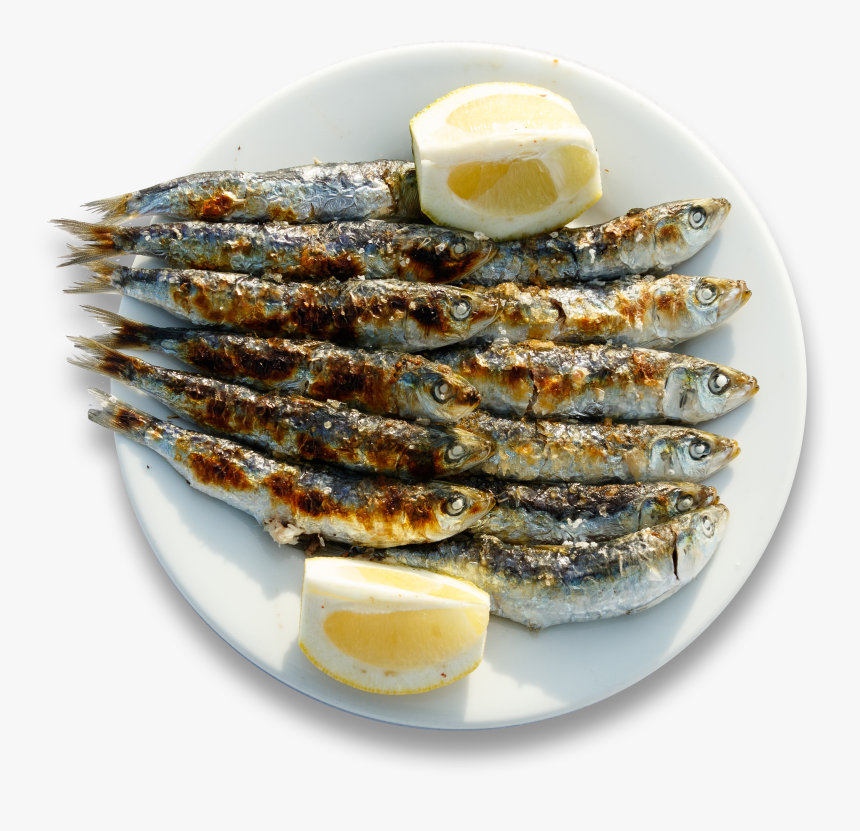 Anchovy (food), HD Png Download , Transparent Png Image - PNGitem