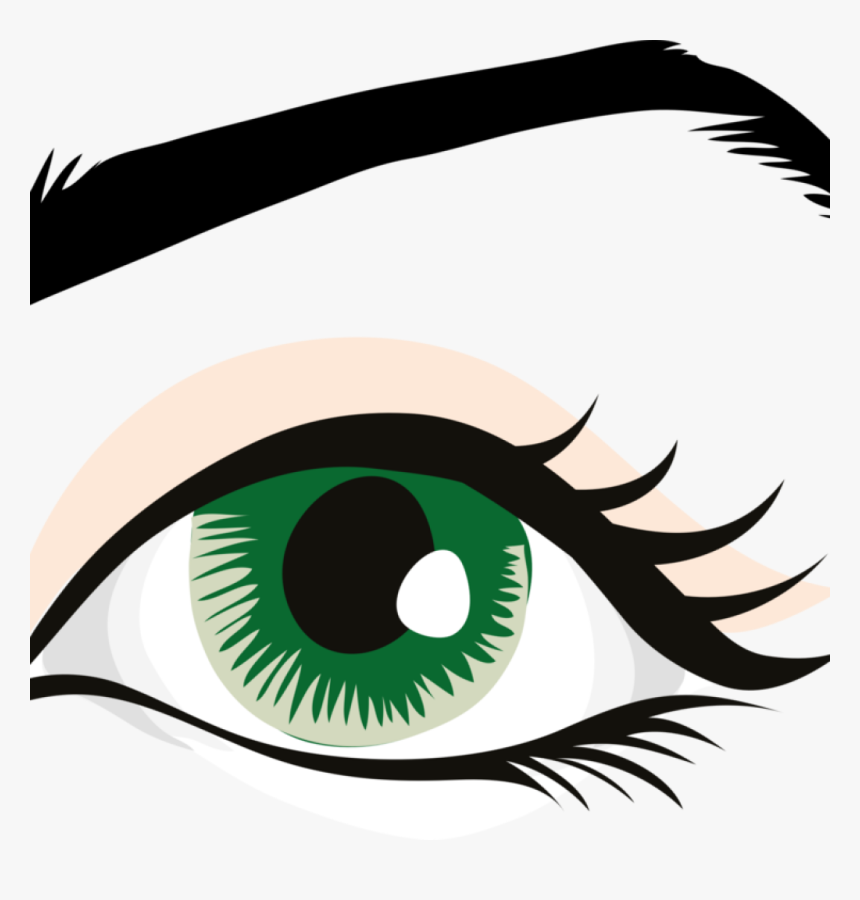 Working Of Human Eye Animation Clipart