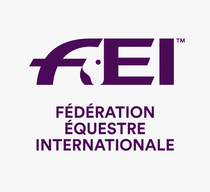 Fei Logo Png, Transparent Png , Transparent Png Image - PNGitem