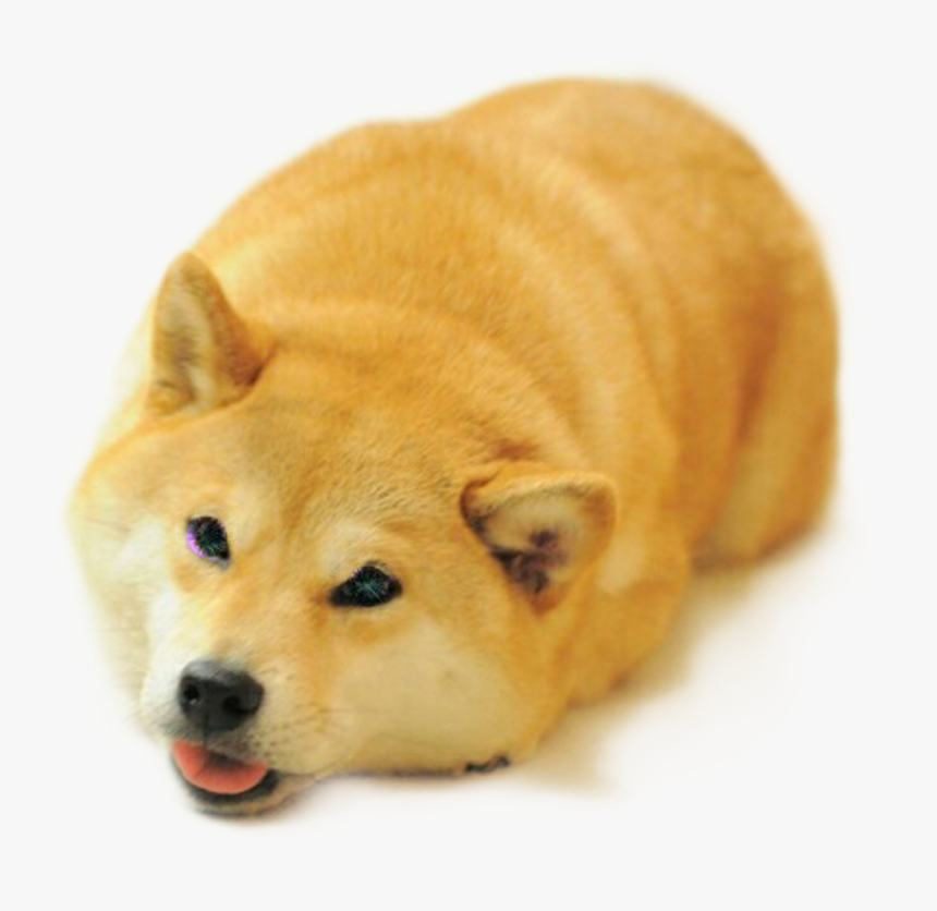 Funny Shiba Inu Face , Png Download - Shiba Inu Bread Loaf, Transparent ...