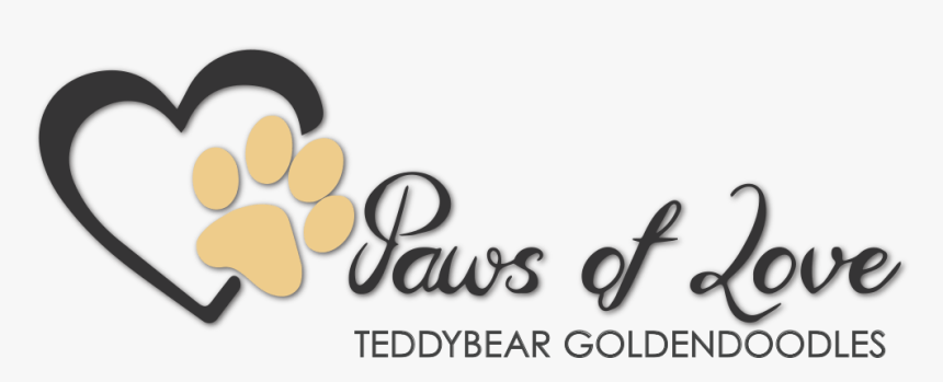 Transparent Golden Doodle Png - Graphic Design, Png Download ...