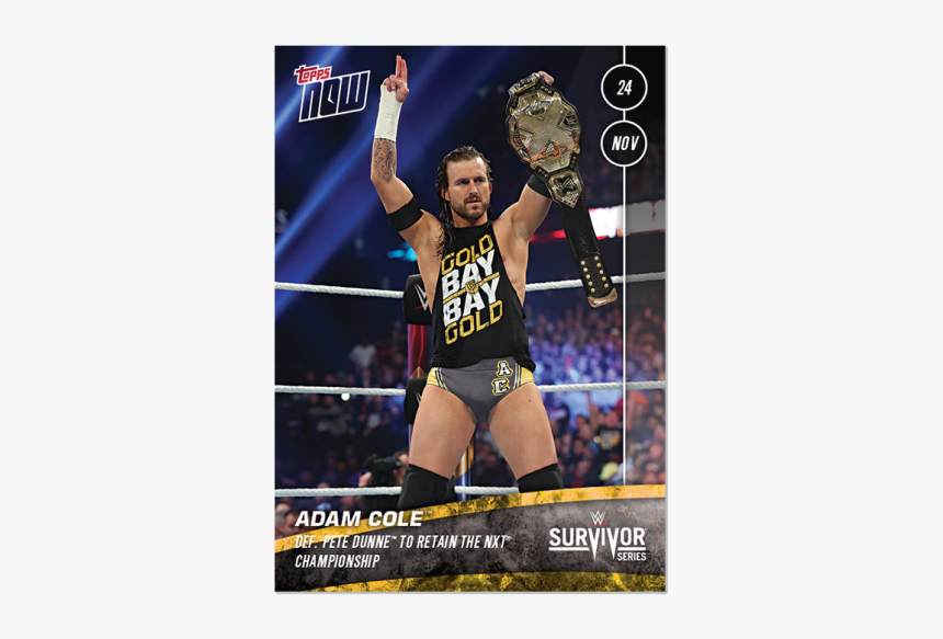 Adam Cole™ Def - Poster, HD Png Download , Transparent Png Image - PNGitem