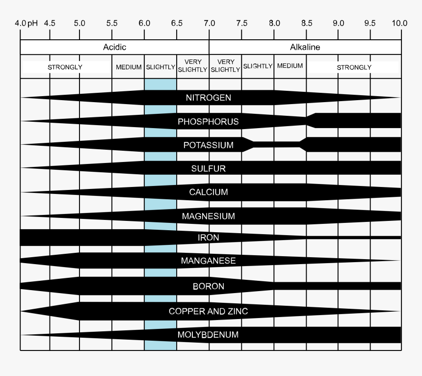 Effect Of Ph On Nutrient Availability In Soil, HD Png Download ...