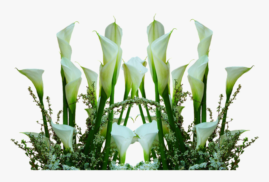 Callas, Flowers, Cut Flowers, Arrangement, Romantic - Flower, HD Png ...