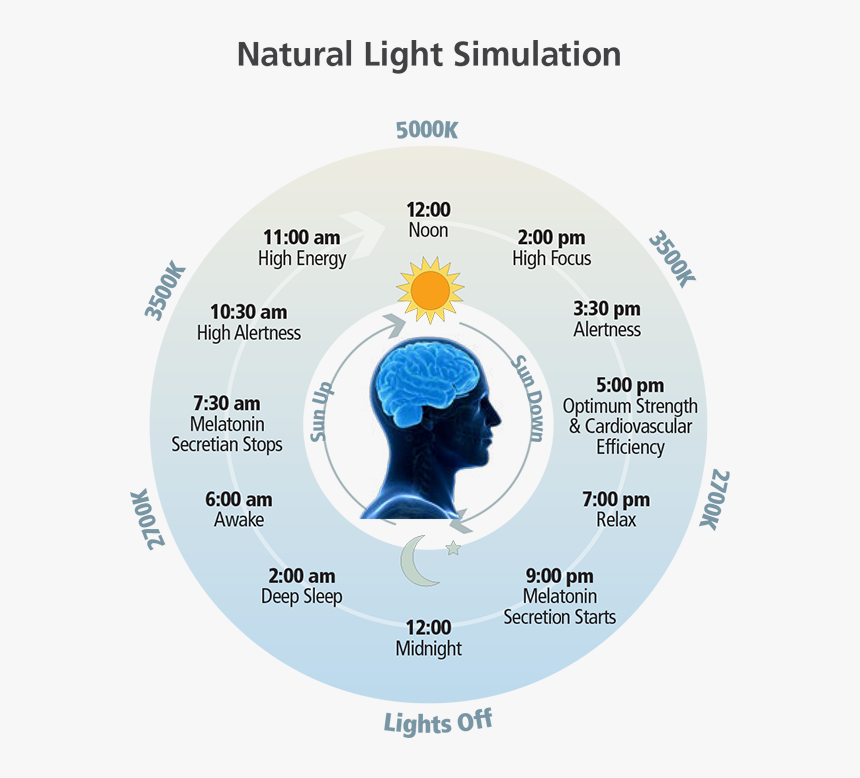 Transparent Blue Lighting Png - Natural Light Chart, Png Download ...