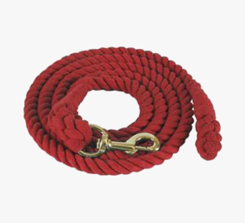 Belt, HD Png Download , Transparent Png Image - PNGitem