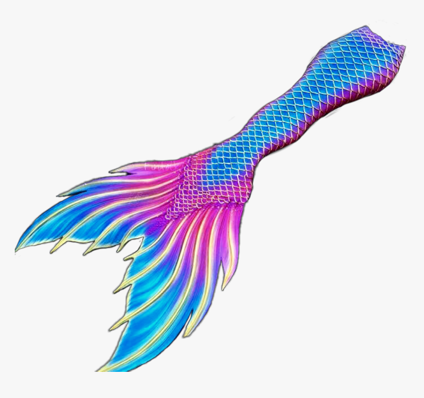 #mermaid #mermaids #tail #fin #tails #fins #fantasy - Illustration, HD ...