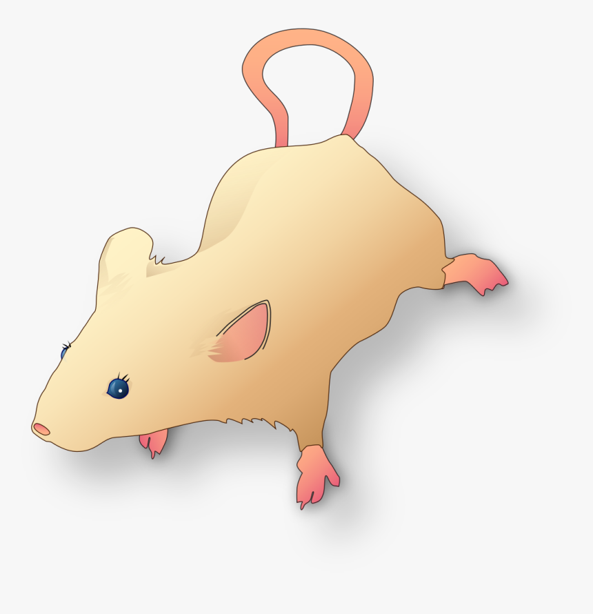 Lab Mouse Clip Art