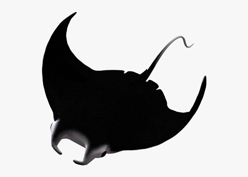 Thumb Image - Giant Manta Ray Png, Transparent Png , Transparent Png ...