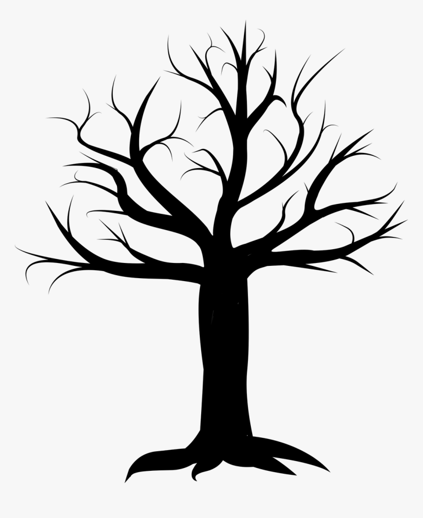 Seasons Of The Year Png, Transparent Png , Transparent Png Image - PNGitem