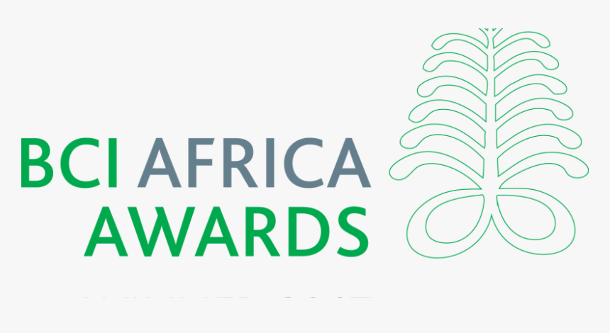 Three Awards Consolidate Continuitysa As African Leader - Graphic ...