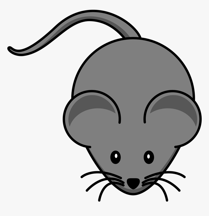 Mouse Gray, HD Png Download , Transparent Png Image - PNGitem