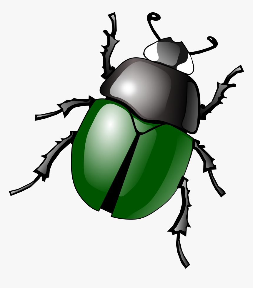 Bug Png Image - Beetle Clipart, Transparent Png , Transparent Png Image ...
