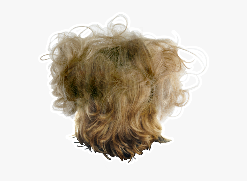 Messy Hair Transparent Background, HD Png Download , Transparent Png ...