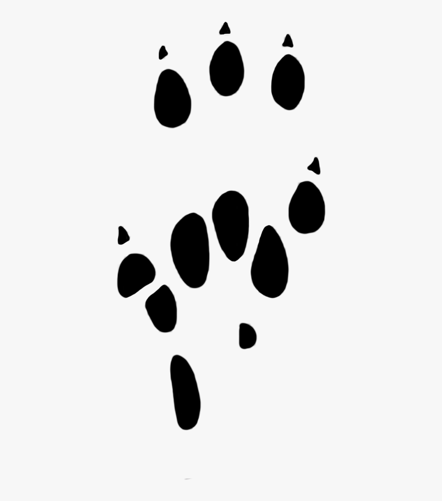 Paw Prints Clipart Rat Paw 25 Mm - Rat Paw Print Png, Transparent Png ...