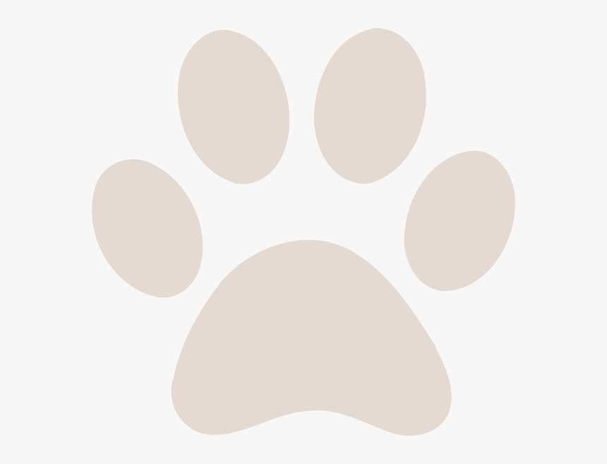 White Transparent Paw Print, HD Png Download , Transparent Png Image ...