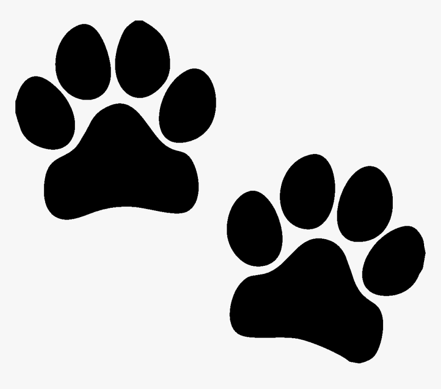 Transparent Paw Print - High School Musical Paw Print, HD Png Download ...