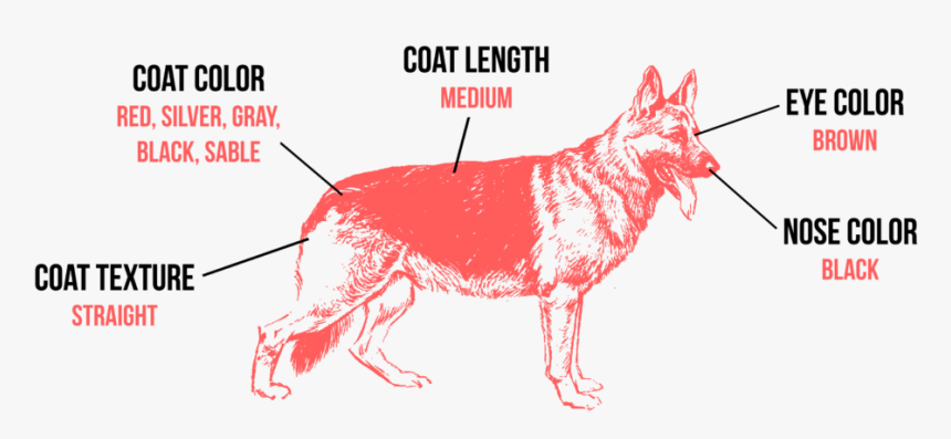 Graphic - Eye Alaska Genesis Underground, HD Png Download , Transparent ...