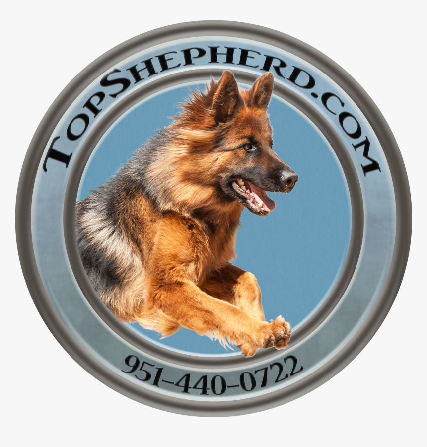 Health Information Management Logo, HD Png Download , Transparent Png ...