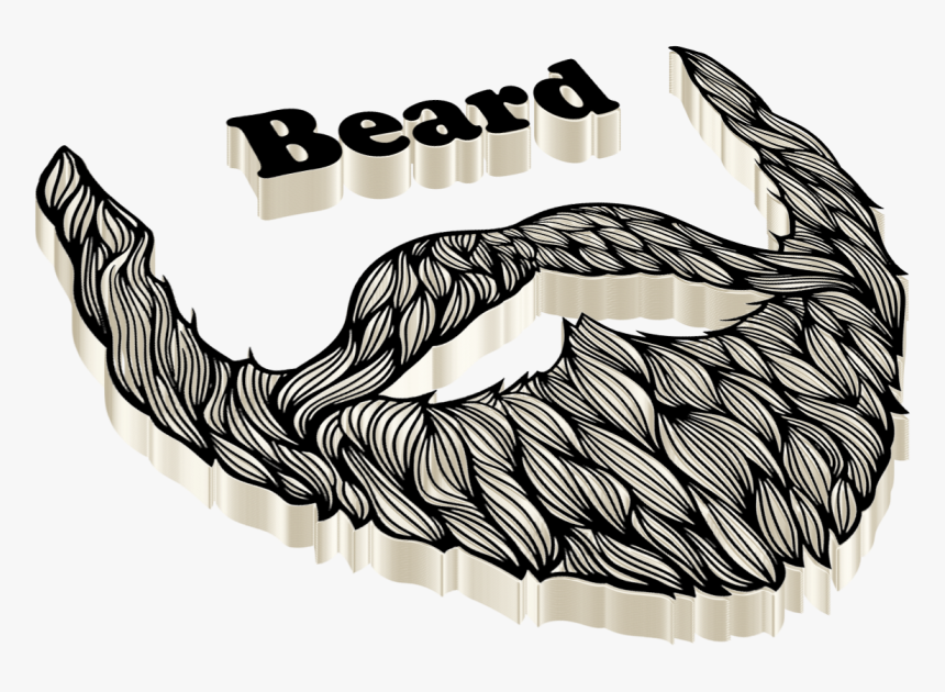 Beard Png Transparent - Illustration, Png Download , Transparent Png ...