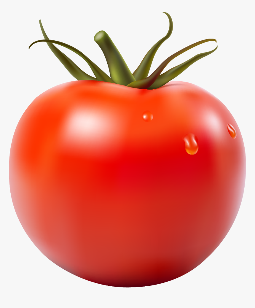 Real Vegetables Vector, HD Png Download , Transparent Png Image - PNGitem