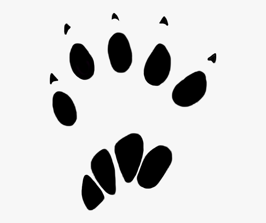 Rabbit Vector Foot Print - Animal Track, HD Png Download , Transparent ...