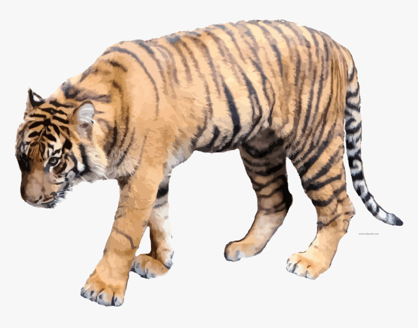 Soft Color Realistic Tigger Clipart Png Picture Download - Clip Art ...