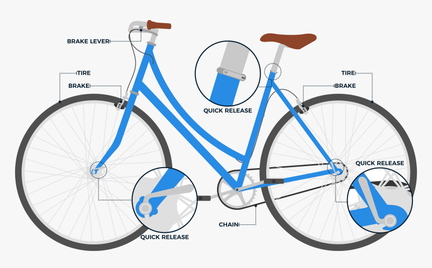 A Graphic Of A Bike Highlighting The Various Parts - Levers On A Bike ...