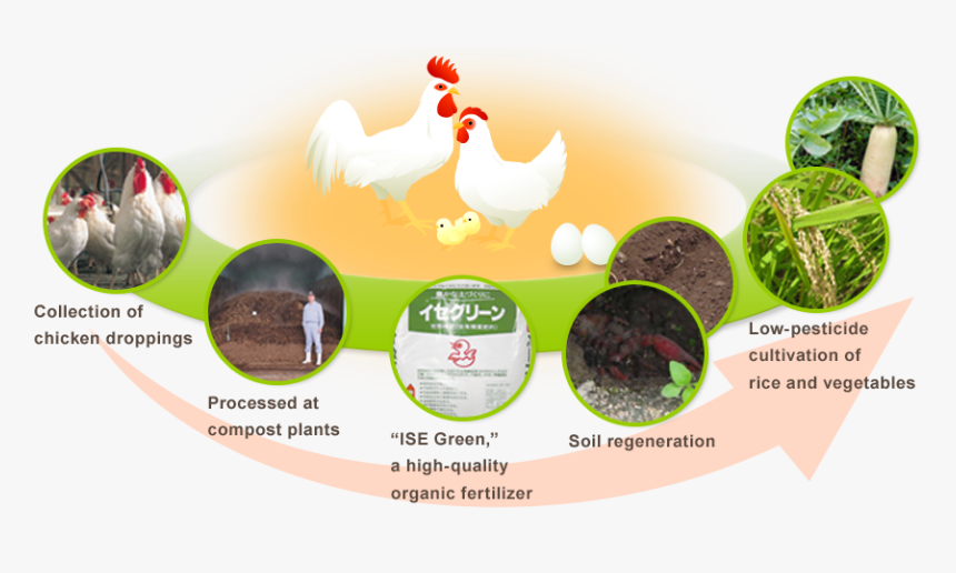 Fertilizer Png, Transparent Png , Transparent Png Image - PNGitem