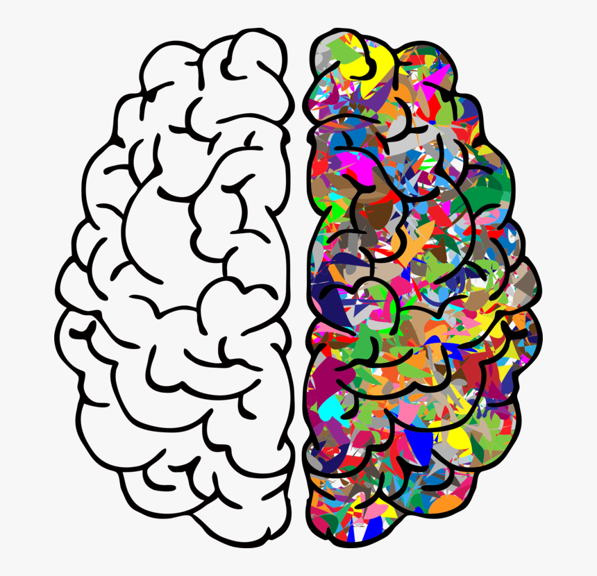 Organ,brain,line - Left And Right Brain Png, Transparent Png ...