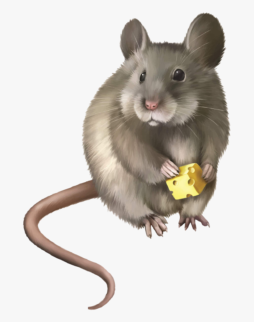 Mice Clip Art