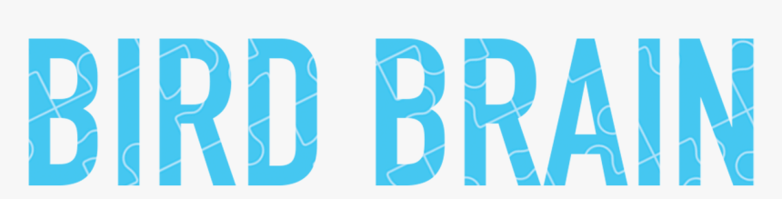 Bird Brain - Graphic Design, HD Png Download , Transparent Png Image ...