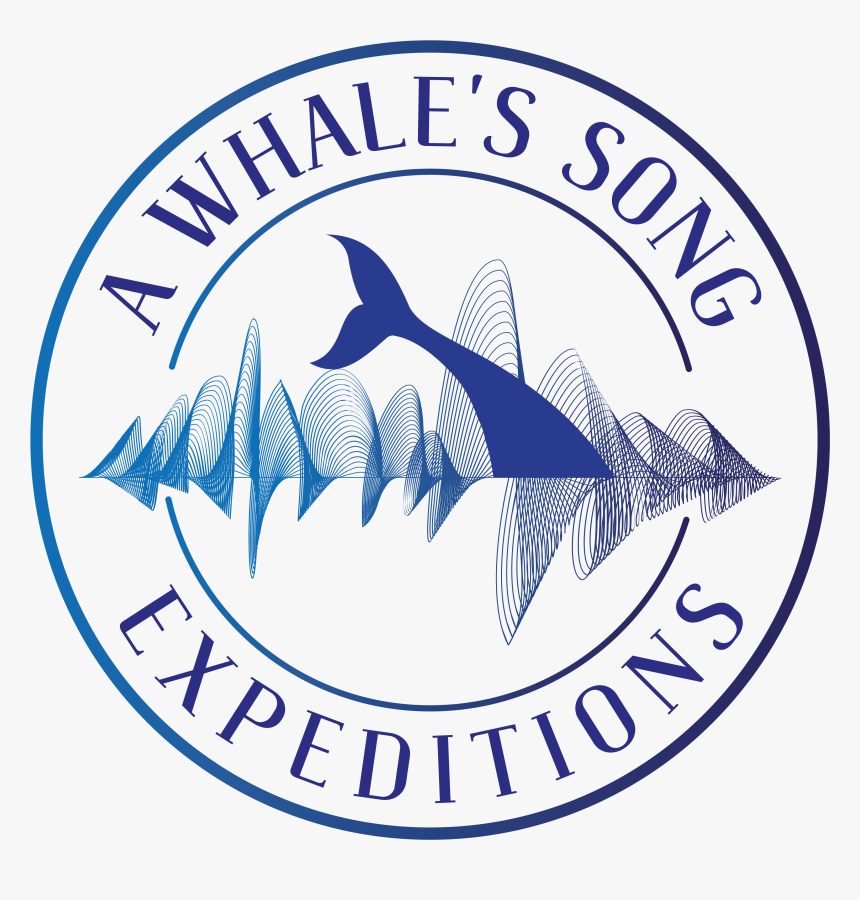 Transparent Whales Png - Wharton County Youth Fair, Png Download ...