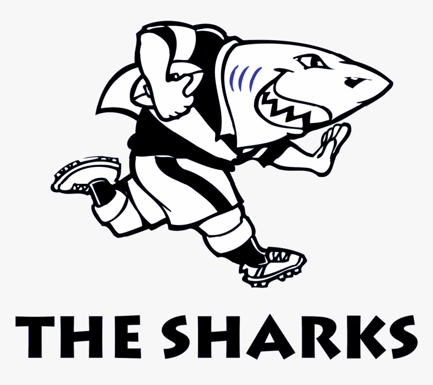 Sharks - Cell C Sharks Logo, HD Png Download , Transparent Png Image ...