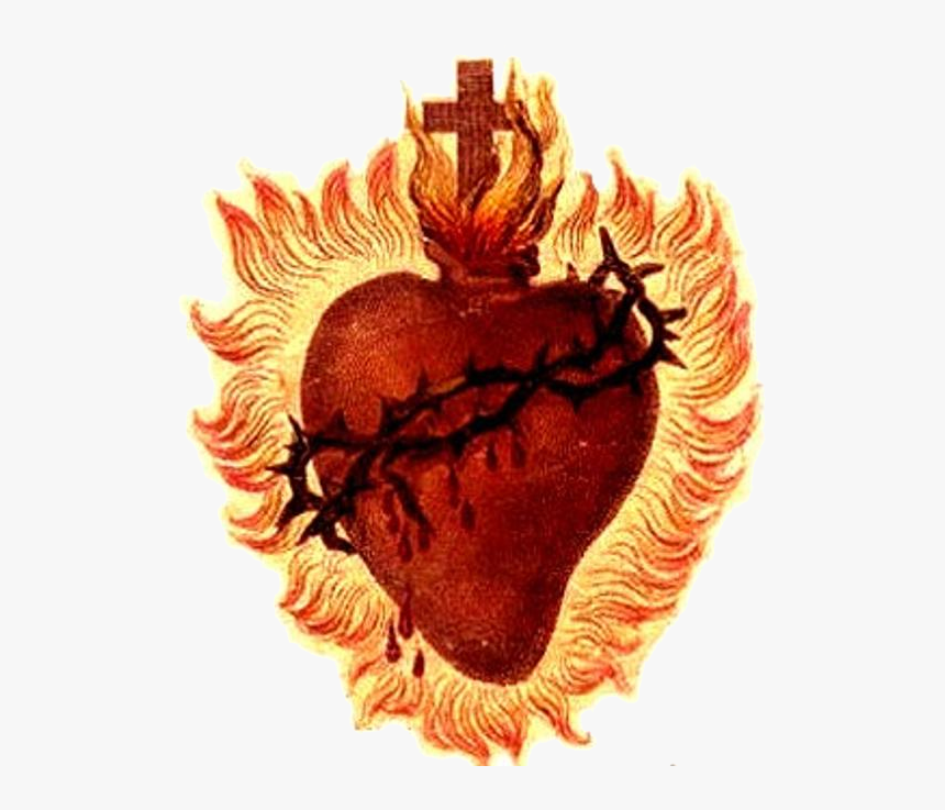 Heart Of Christ, HD Png Download , Transparent Png Image - PNGitem