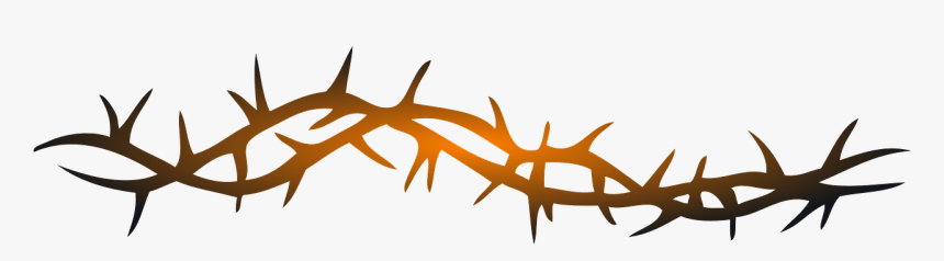Vine Thorns Png, Transparent Png , Transparent Png Image - PNGitem