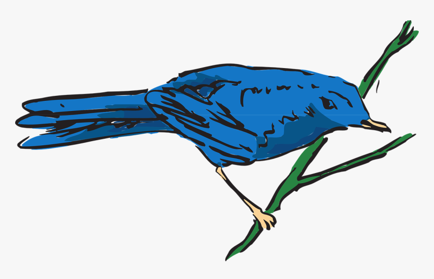 Transparent Blue Birds Png - Clip Art, Png Download , Transparent Png ...
